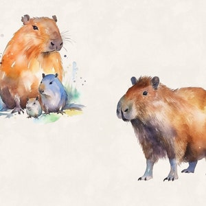 Capybara Clipart Bundle Commercial Use Watercolor Digital Design Bundle ...