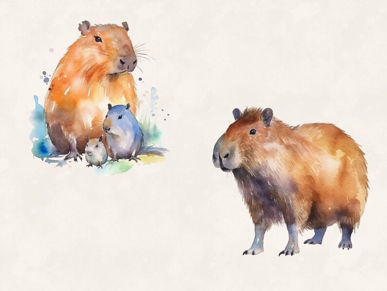 Capybara Clipart Bundle Commercial Use Watercolor Digital - Etsy