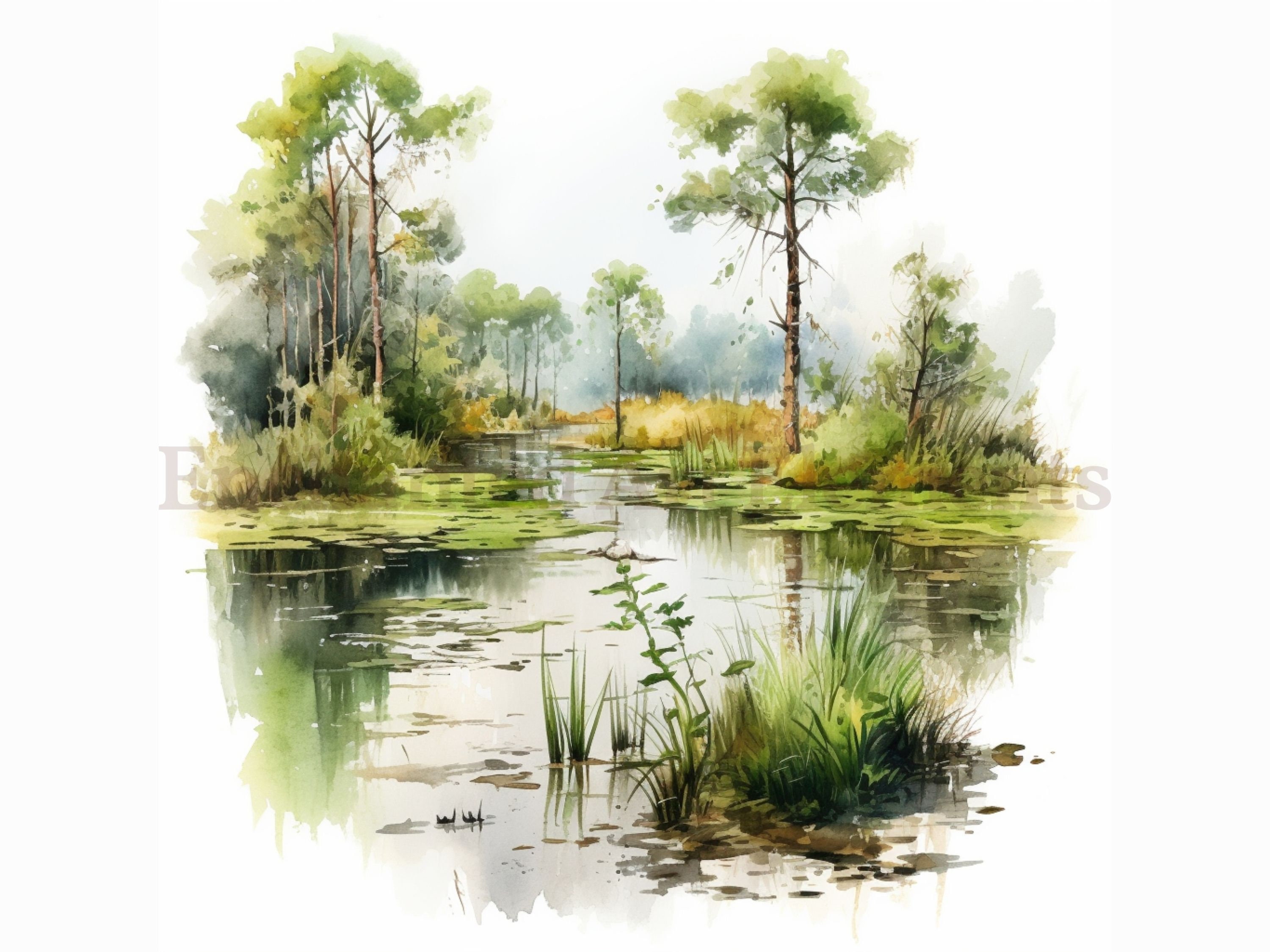 Watercolor Swamp Clipart: Georgia Landscape Digital Bundle (commercial ...