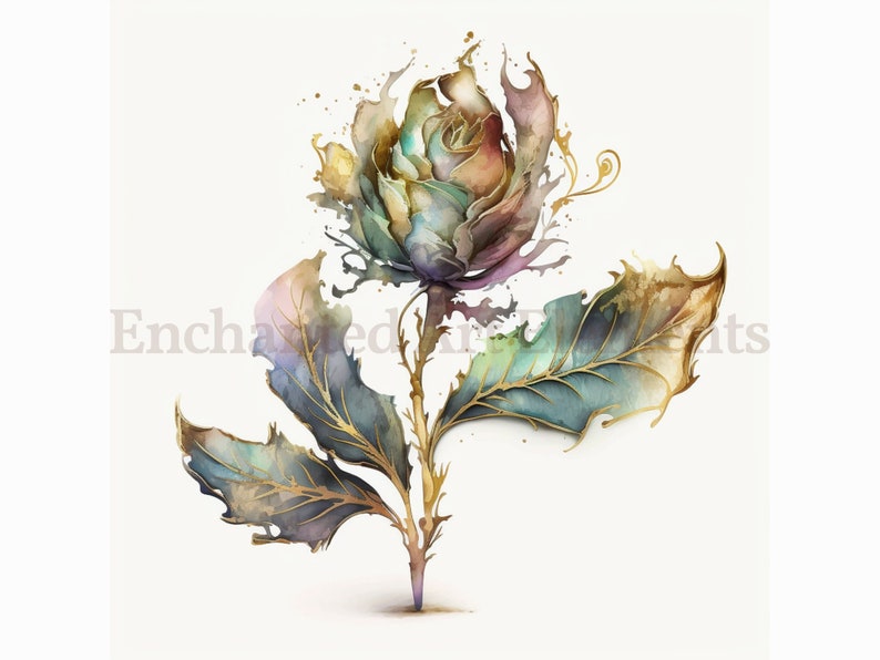 9 Magic Flower Illustration Commercial Use Watercolor Flower - Etsy