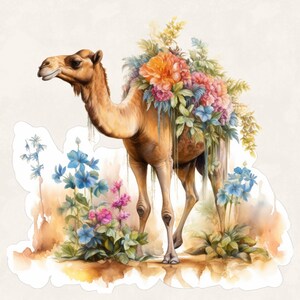 Camel and Flowers Clipart Bundle Commercial Use Watercolor Jungle Camel ...