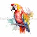 7 Watercolor Animated Macaw Illustration Nursery Art - Etsy