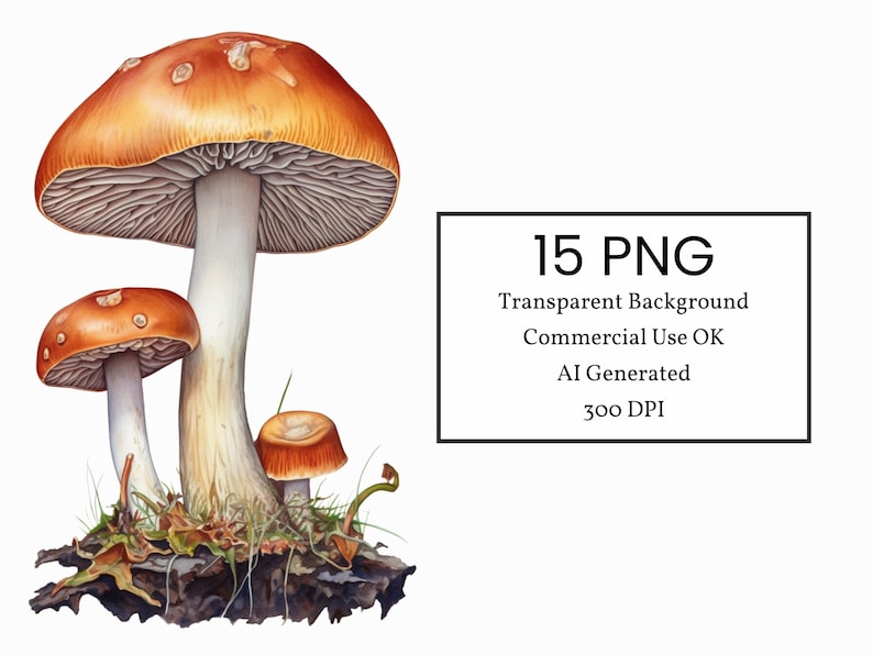 15 Woodland Mushroom Watercolor Clipart Variety Bundle - Etsy
