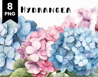 Pink & Blue Hydrangea Flower Watercolor Clipart PNG Floral - Etsy