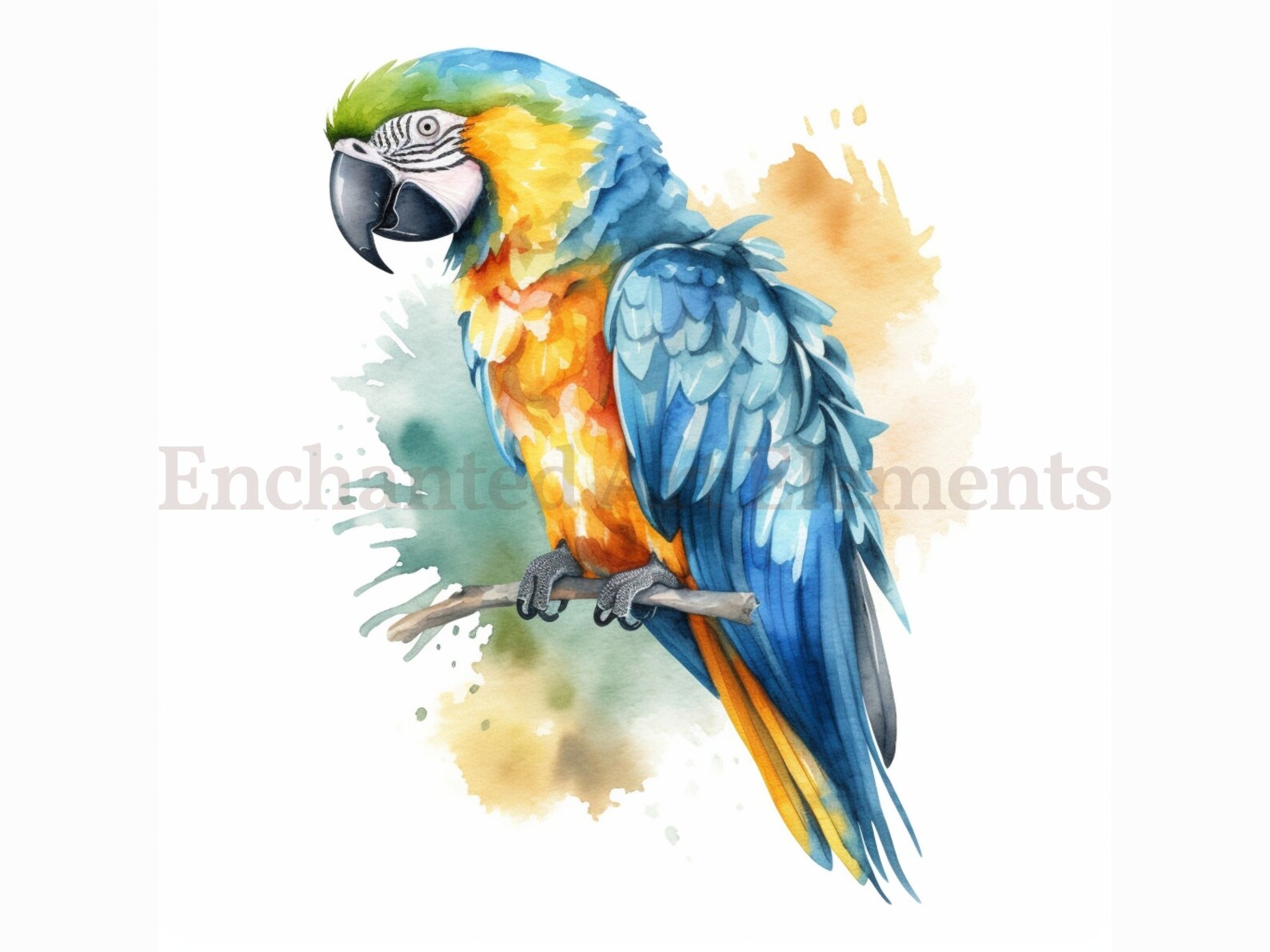 7 Watercolor Animated Macaw Illustration Nursery Art - Etsy