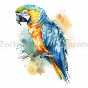 7 Watercolor Animated Macaw Illustration Nursery Art Commercial Use ...