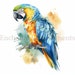7 Watercolor Animated Macaw Illustration Nursery Art - Etsy