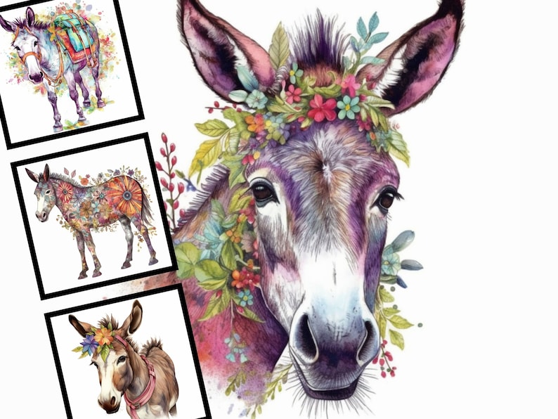 Retro Donkey Clipart Watercolor Illustration Commercial Use - Etsy