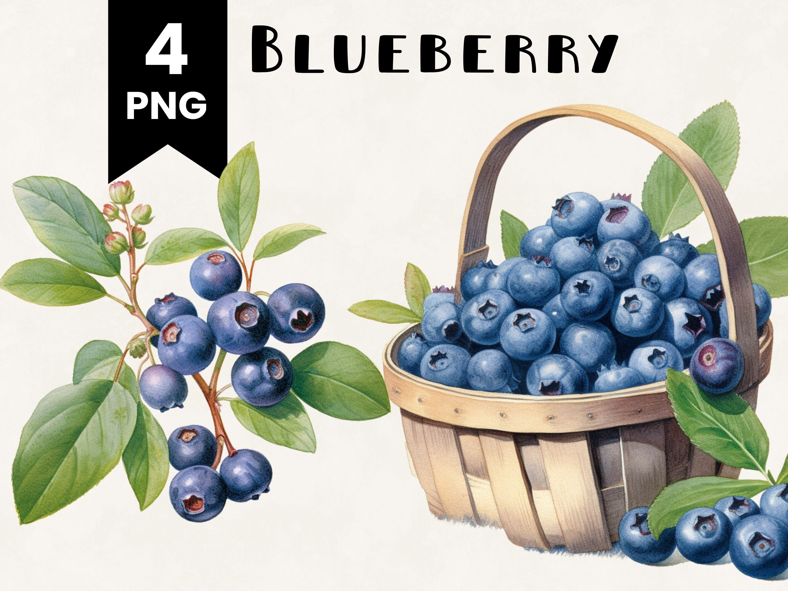 Blueberry Clipart Bundle Commercial Use Watercolor Blueberries - Etsy