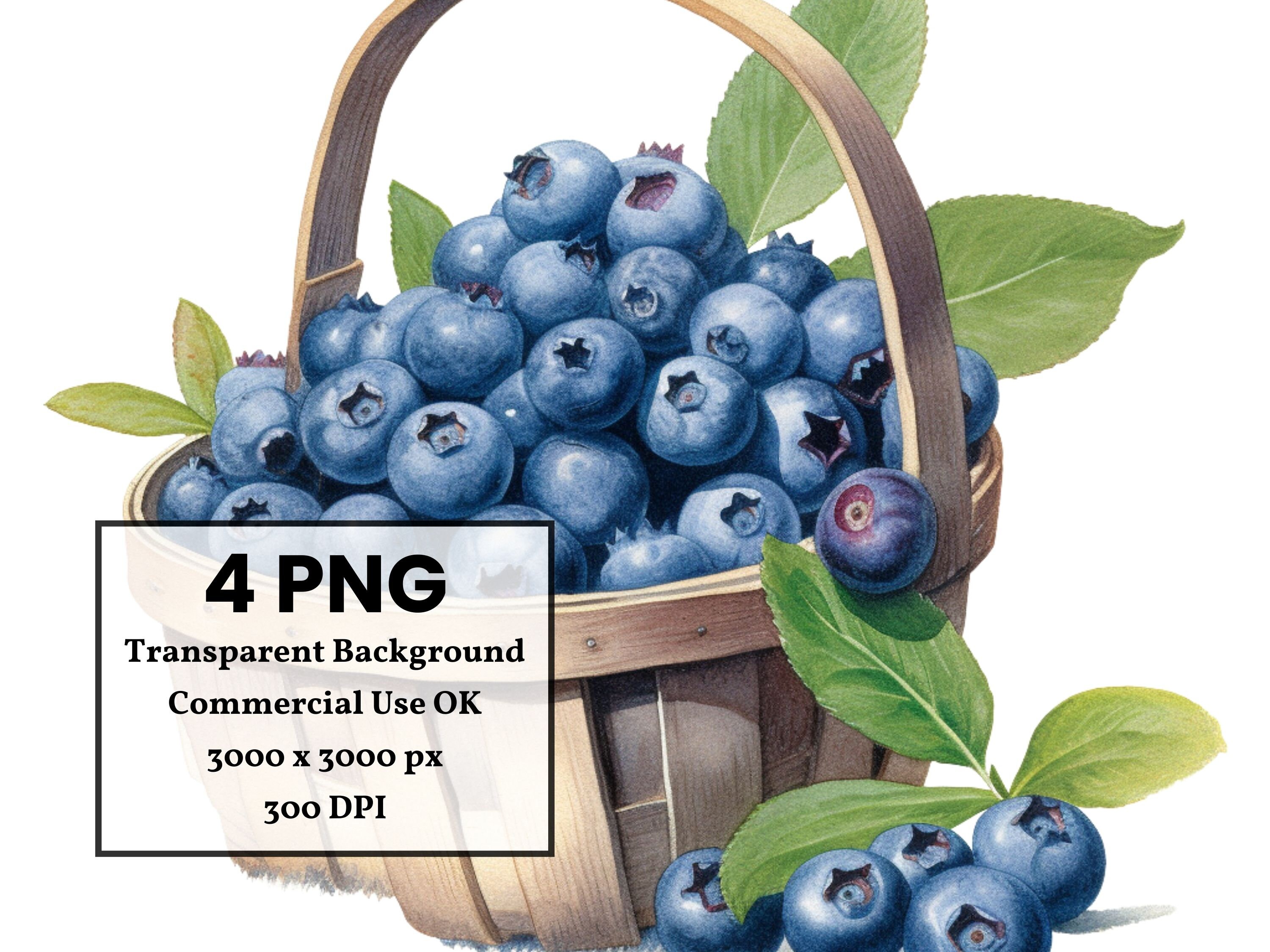 Blueberry Clipart Bundle Commercial Use Watercolor Blueberries - Etsy