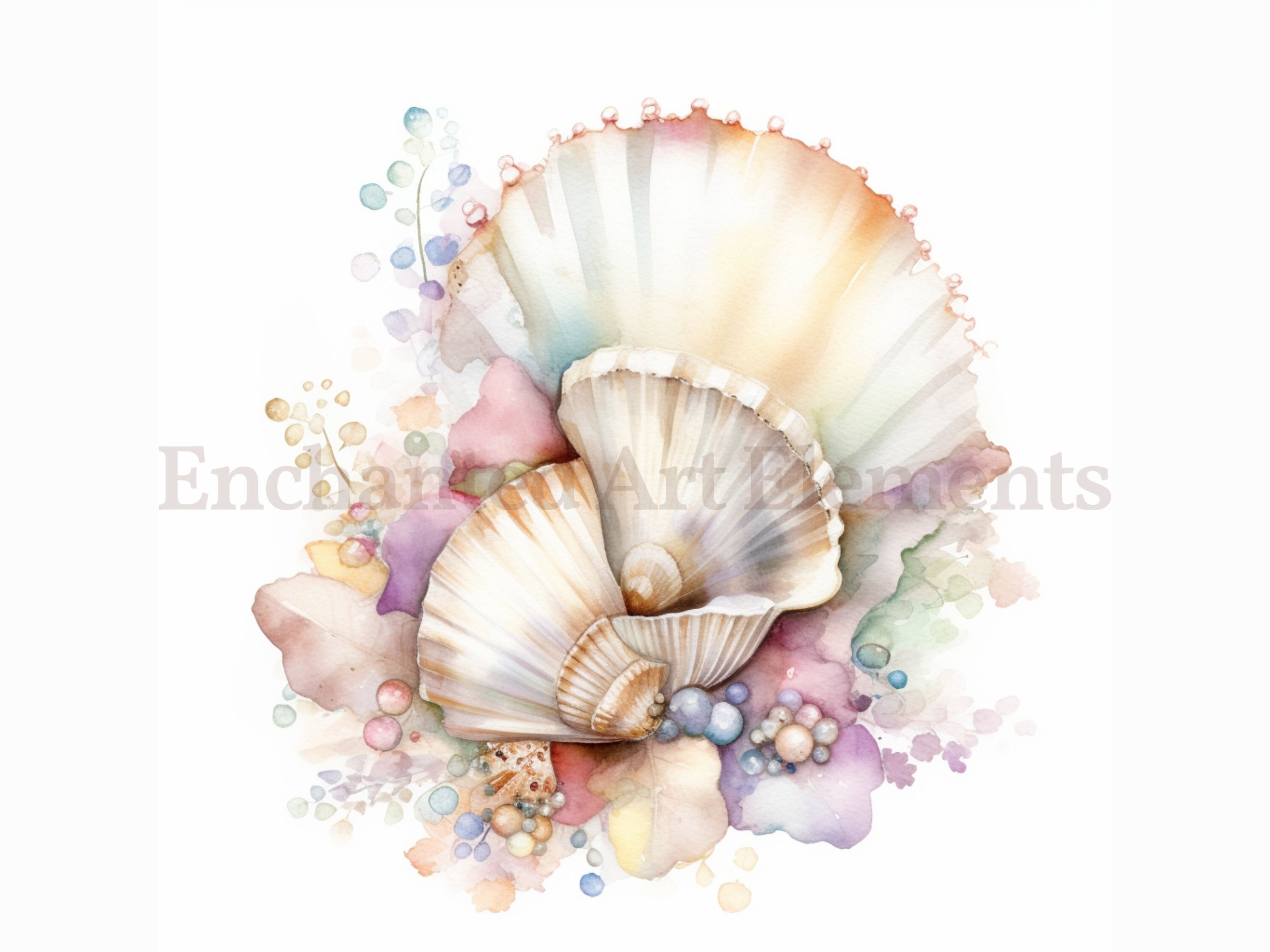 Sea Shells Clipart Bundle Watercolor Commercial Use Digital - Etsy