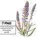 Lavender Flower Watercolor Clipart Bundle Floral Wedding Invitation ...
