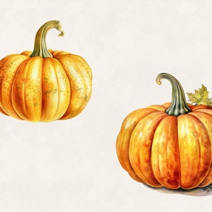 Watercolor Fall Pumpkins Clipart: Commercial Use Digital Bundle ...