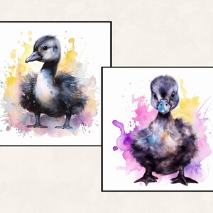 Ugly Duckling Clipart Watercolor Commercial Use Digital Design Bundle ...