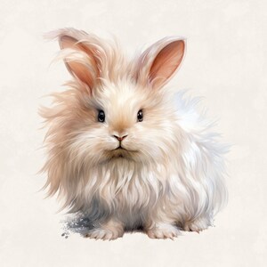Angora Rabbit Watercolor Clipart: Commercial Use Digital Design ...
