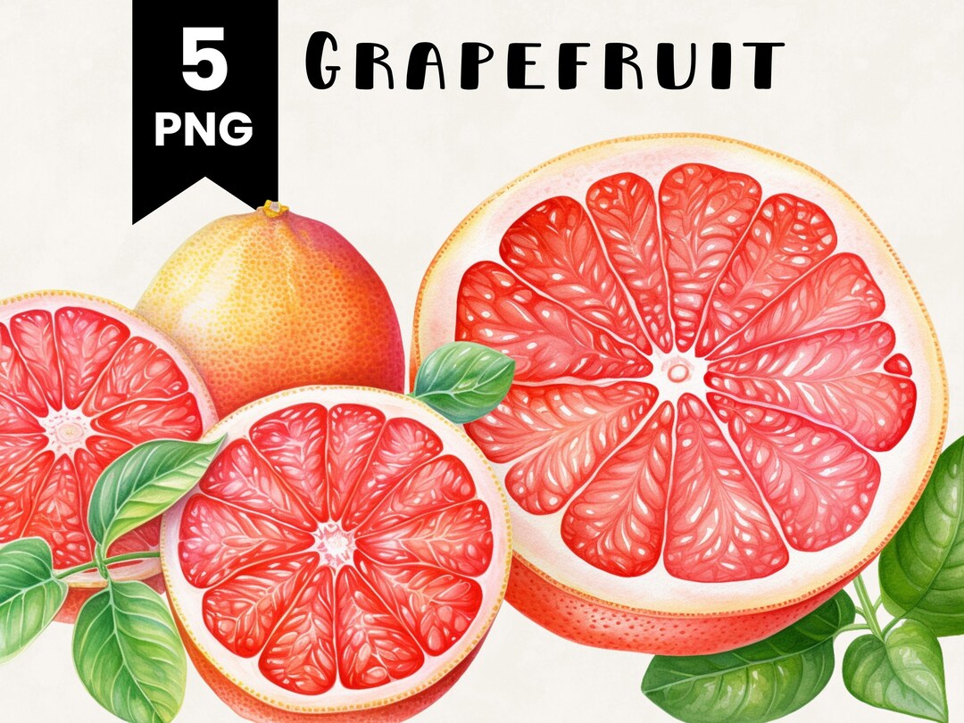 Grapefruit Clipart Bundle Commercial Use Watercolor Grapefruit Fruit ...