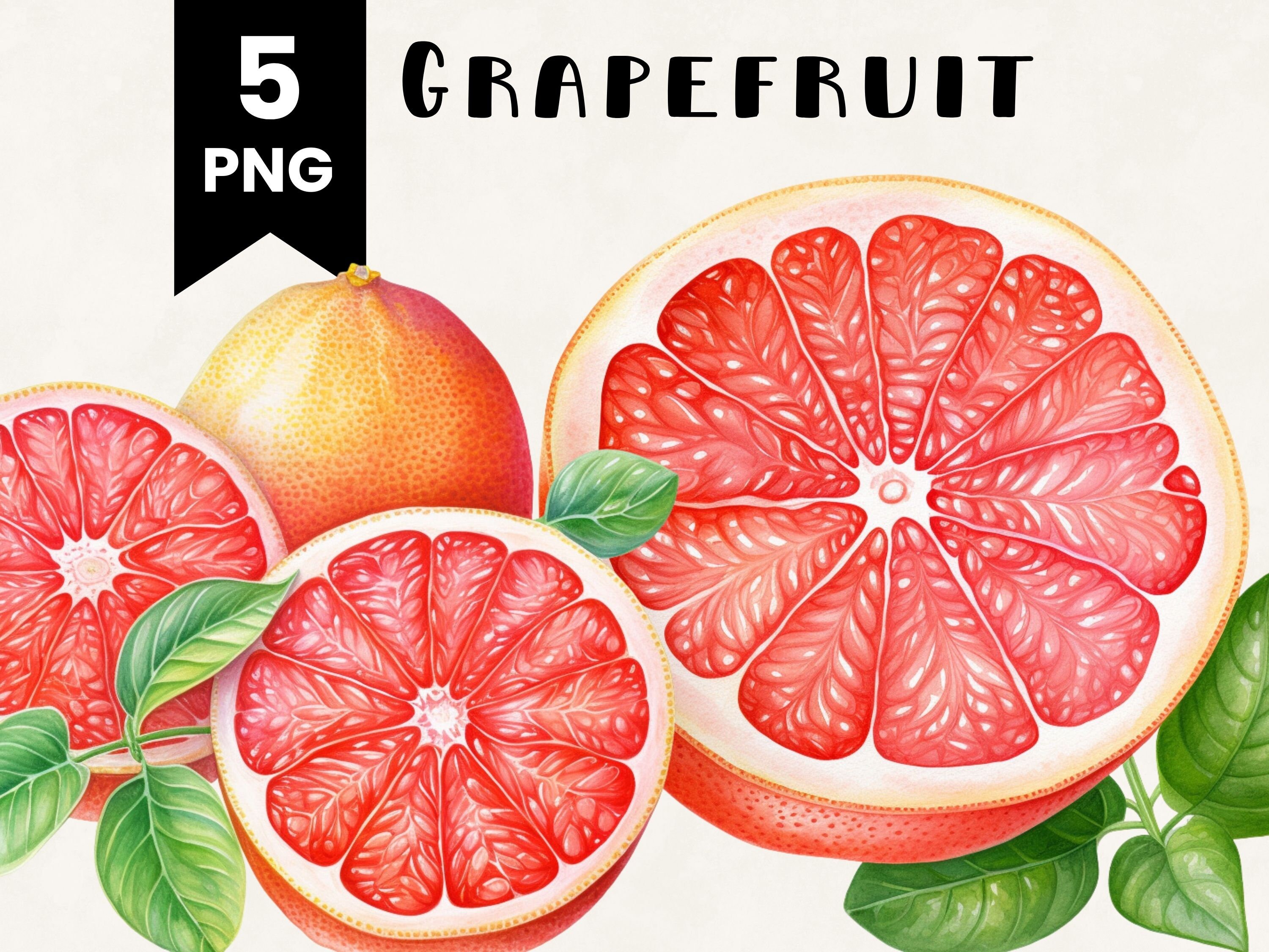 Pink Grapefruit Clipart