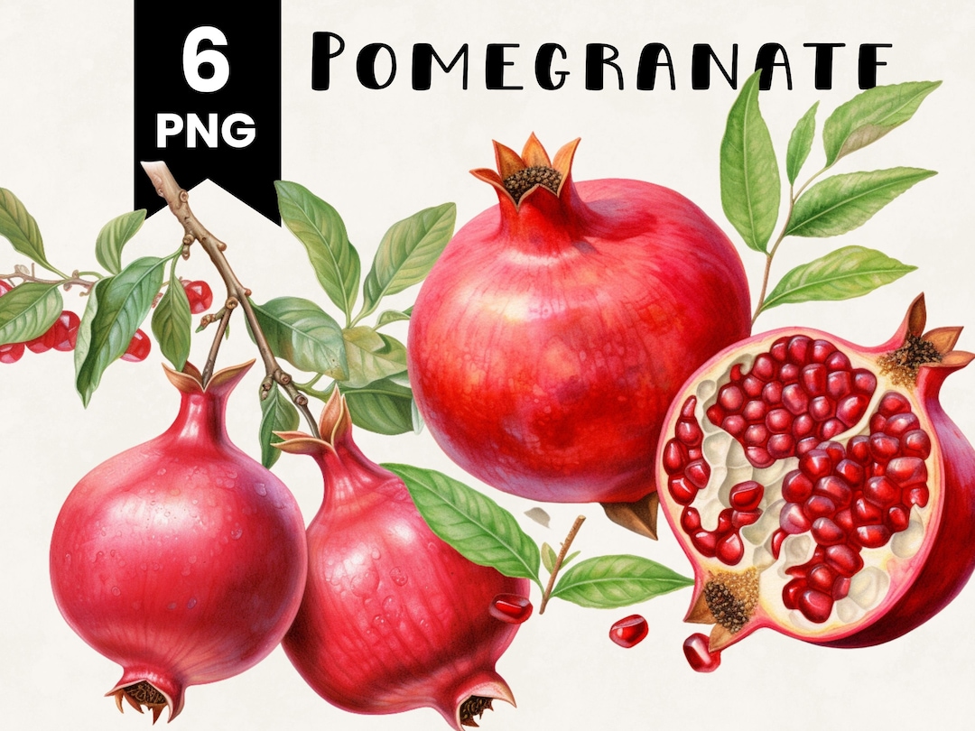 Pomegranate Clipart Bundle Commercial Use Watercolor Pomegranate Fruit ...