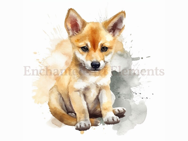 Watercolor Baby Dingo Illustration Art - Nursery Decor (digital Design ...