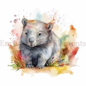 4 Watercolor Wombat Illustration Nursery Art Commercial Use Digital ...