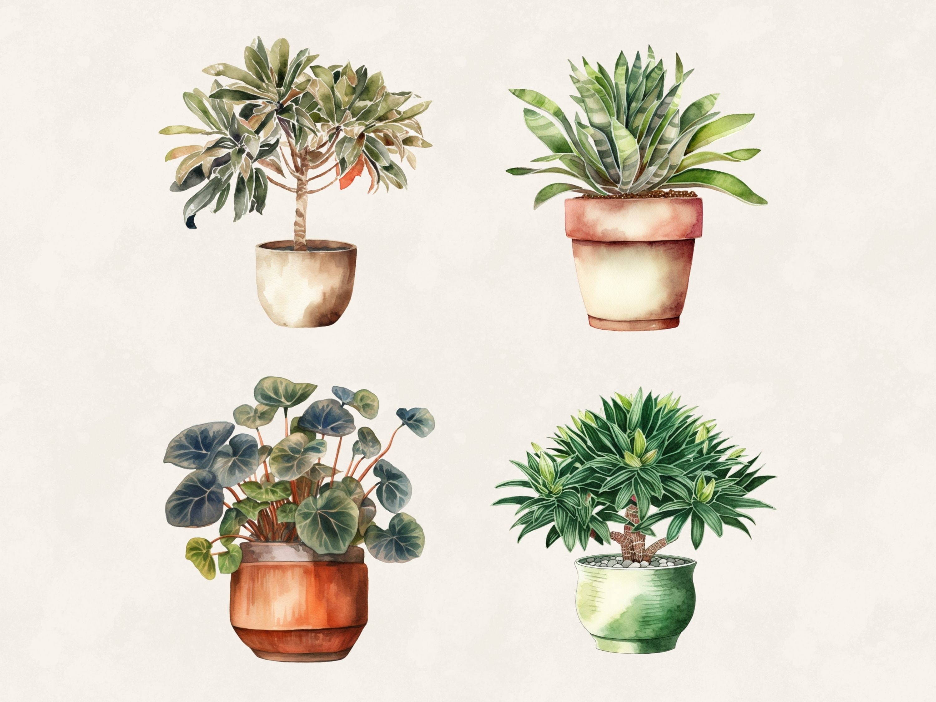 Potted Plants Watercolor Clipart Bundle Commercial Use Digital - Etsy