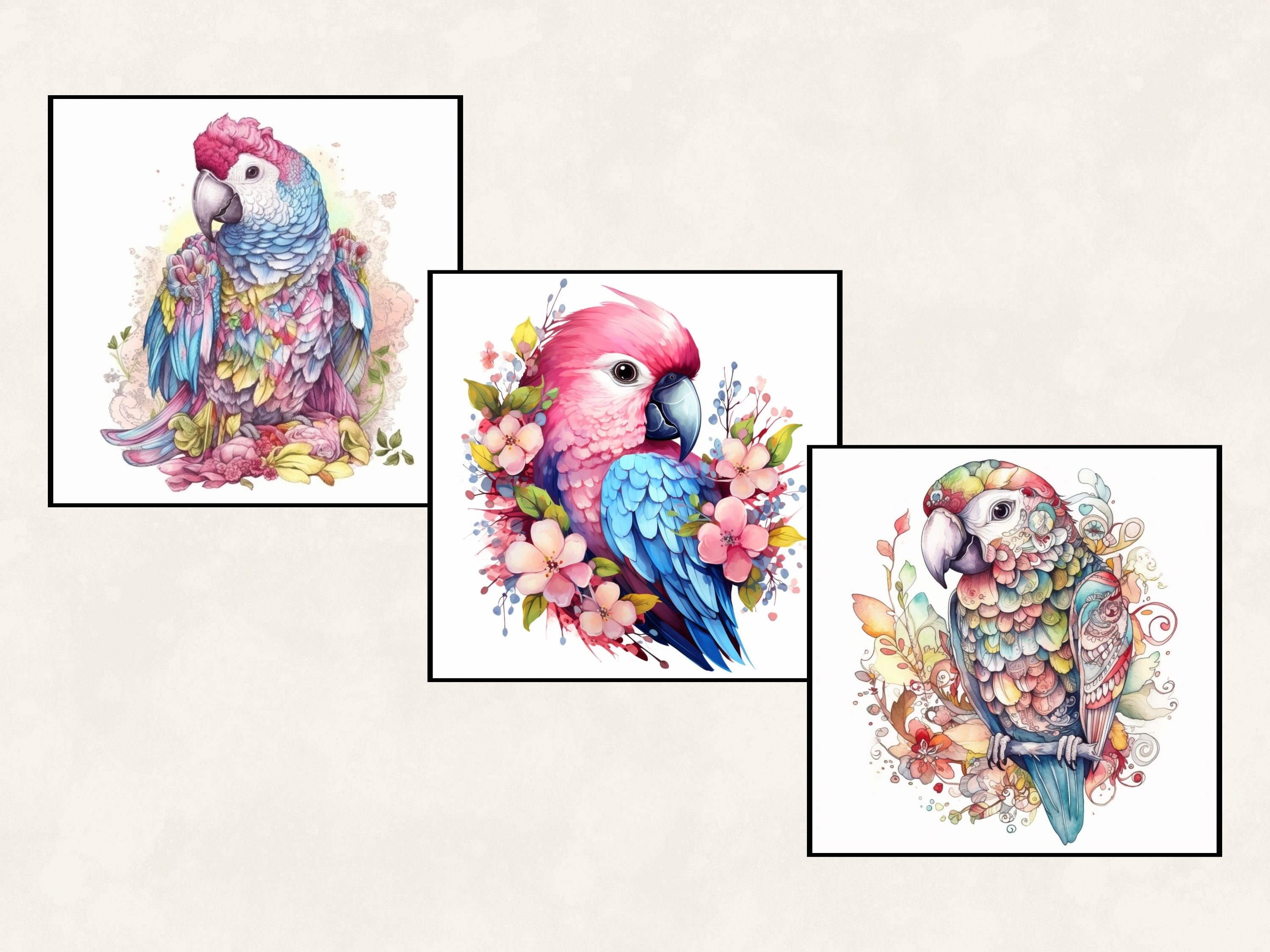 Parrot Clipart Watercolor Illustration Commercial Use Digital - Etsy