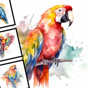 7 Watercolor Animated Macaw Illustration Nursery Art Commercial Use ...