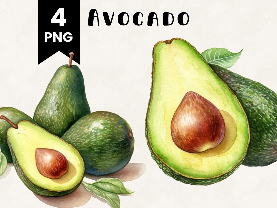 Avocado Clipart Bundle Commercial Use Watercolor Avocado Slice Digital ...