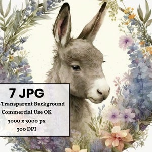 Donkey in Field Clipart Watercolor Commercial Use Digital Design Bundle ...