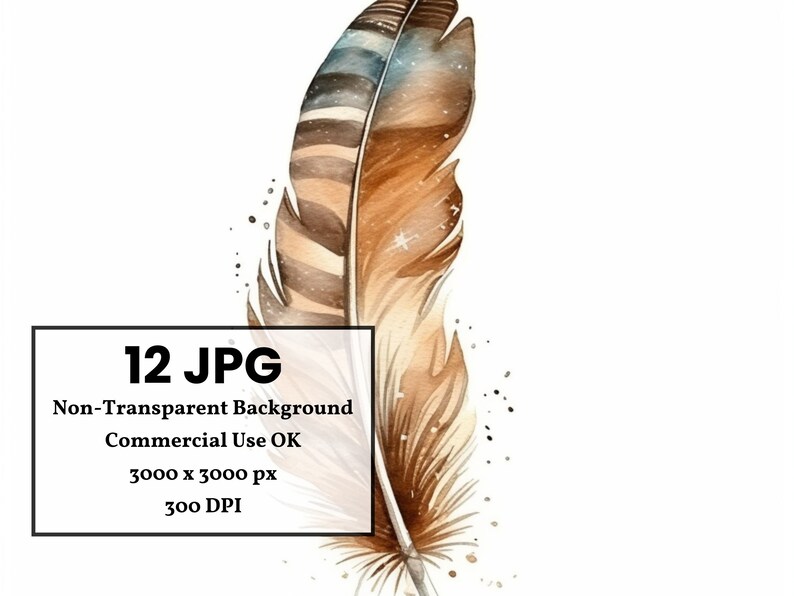 Boho Feathers Watercolor Clipart: Commercial Use Digital Bundle (JPG ...