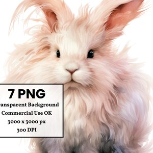 Angora Rabbit Watercolor Clipart: Commercial Use Digital Design ...