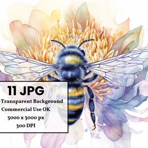 Watercolor Bee Clipart Bundle: Floral Bumble Bee Designs (digital ...