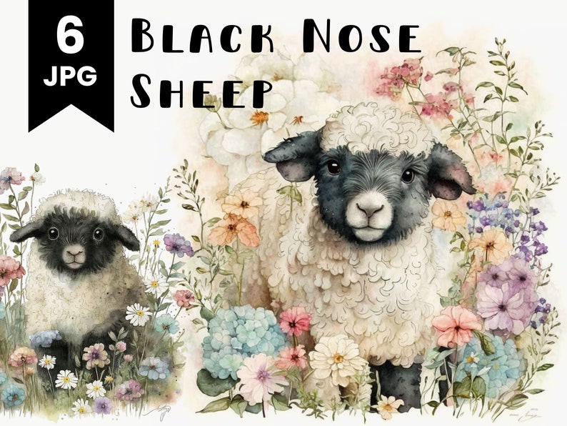 Sheep Nursery Art Black Nose Sheep Watercolor Illustration - Etsy