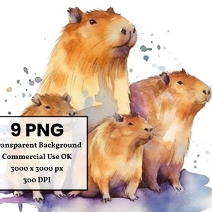 Capybara Clipart Bundle Commercial Use Watercolor Digital Design Bundle ...