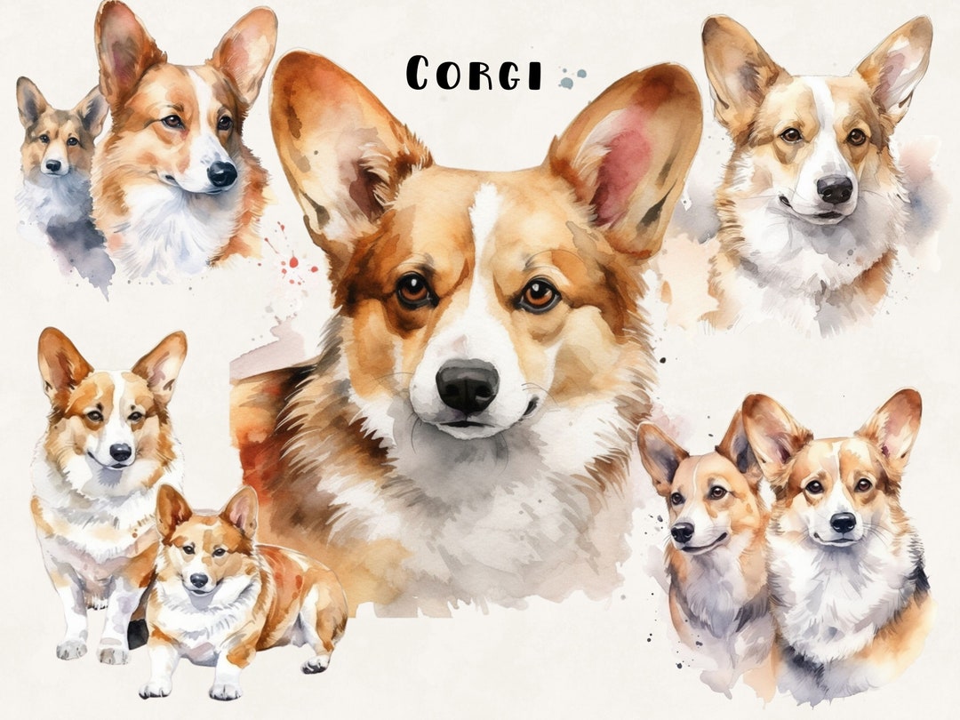 Corgi Dog Clipart Watercolor Illustration Commercial Use Digital Design ...