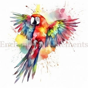 7 Watercolor Animated Macaw Illustration Nursery Art Commercial Use ...