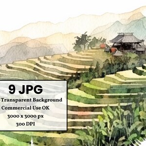 Rice Paddies Clipart Watercolor Commercial Use Digital Design Bundle ...