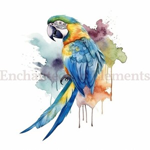 7 Watercolor Animated Macaw Illustration Nursery Art Commercial Use ...