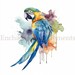 7 Watercolor Animated Macaw Illustration Nursery Art - Etsy