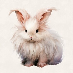 Angora Rabbit Watercolor Clipart: Commercial Use Digital Design ...