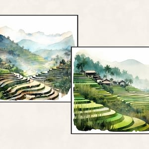 Rice Paddies Clipart Watercolor Commercial Use Digital Design Bundle ...