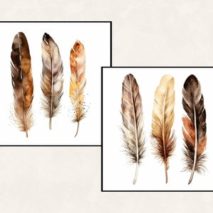 Boho Feathers Watercolor Clipart: Commercial Use Digital Bundle (JPG ...