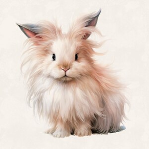 Angora Rabbit Watercolor Clipart: Commercial Use Digital Design ...