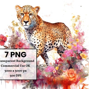 Cheetah Clipart Bundle Commercial Use Watercolor Cheetah in Field of ...
