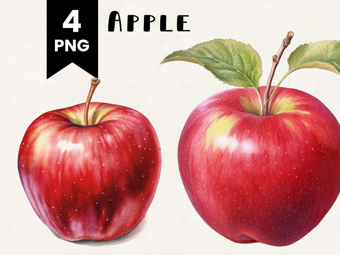 Apple Clipart Bundle Commercial Use Watercolor Apples Digital Design ...