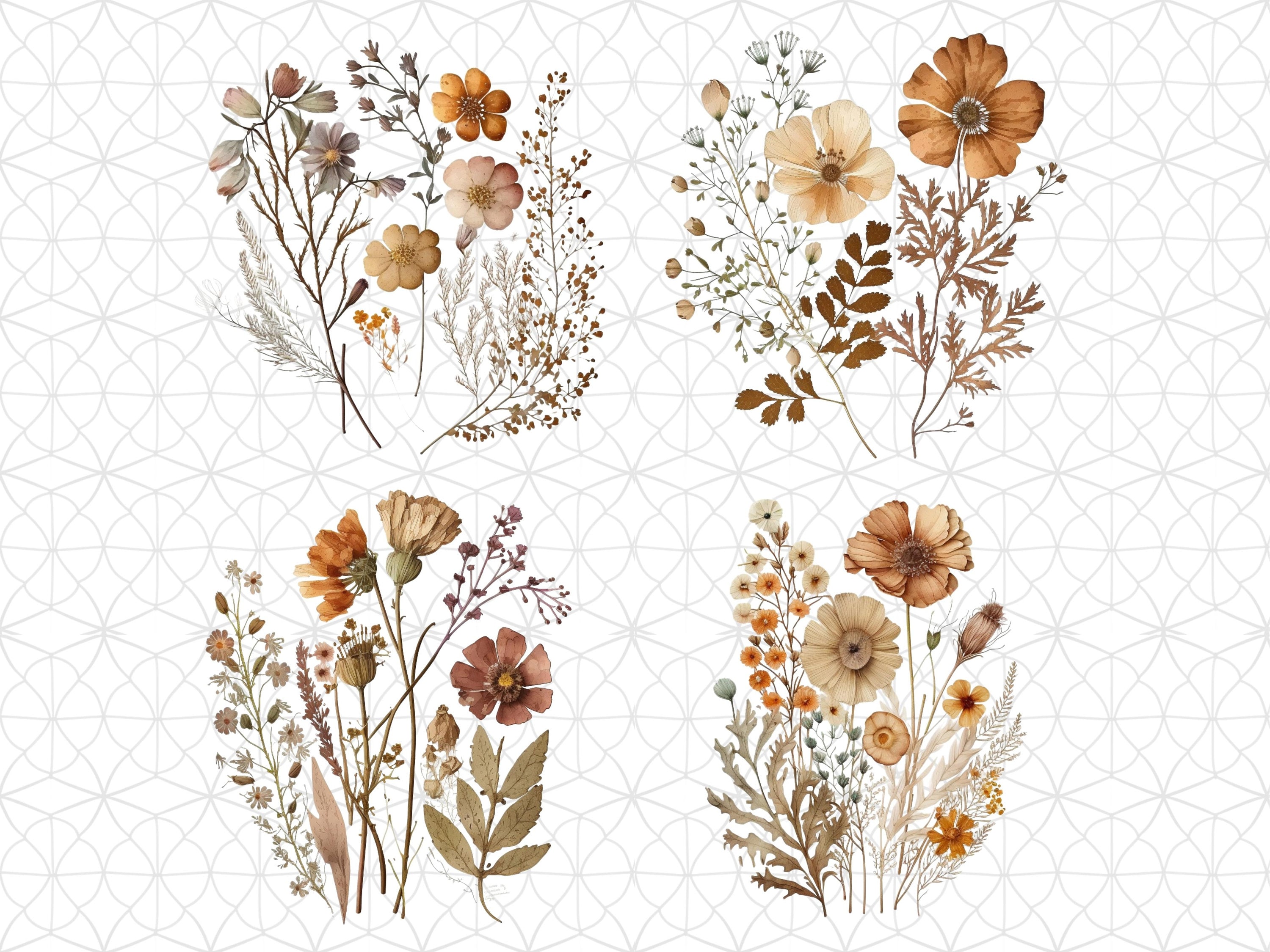 Boho Pressed Flower Clip Art Dried Flower Watercolor - Etsy