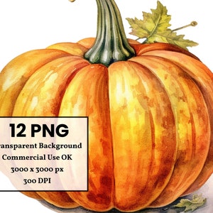 Watercolor Fall Pumpkins Clipart: Commercial Use Digital Bundle ...