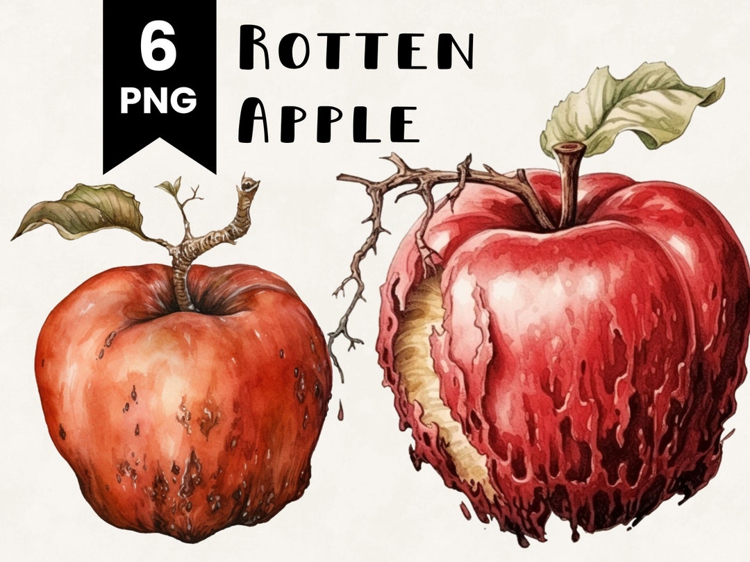 Rotten Apple Clipart Watercolor Illustration Commercial Use Digital ...