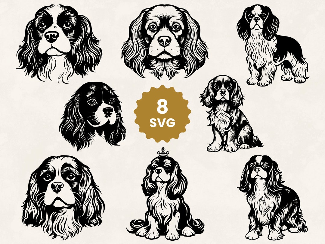Cavalier King Charles Spaniel SVG Silhouette for Commercial Use, SVG ...