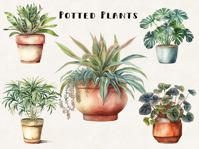 Potted Plants Watercolor Clipart Bundle Commercial Use Digital - Etsy